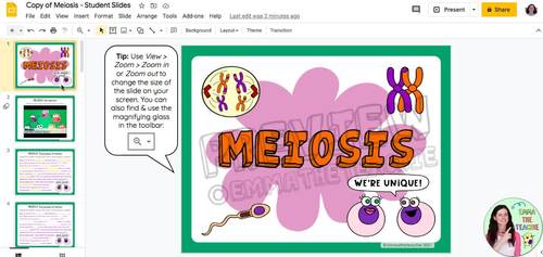 Meiosis Digital INB - Google Slides Activities and Google Forms Quiz