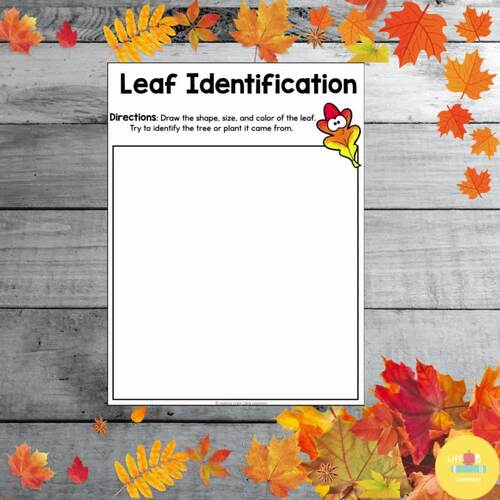 Discover Nature's Wonders: Leaf Exploration Journal for Budding Naturalists