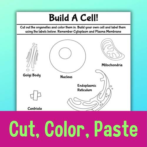 BUILD A CELL Craft | Plant and Animal Craft | Science Guided Activity ...
