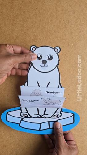 Polar Bear Life Cycle Craft Printable by Little Ladoo | TPT