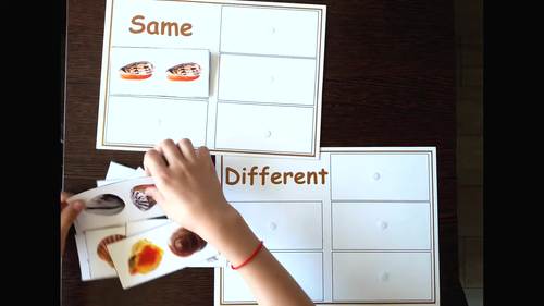 Seashells Beach Theme Activity for Speech Therapy and Special Education