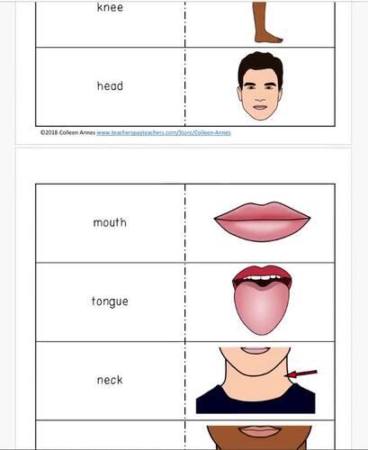 EL/ESL Newcomer Unit: Parts of the Body by Colleen Annes | TPT