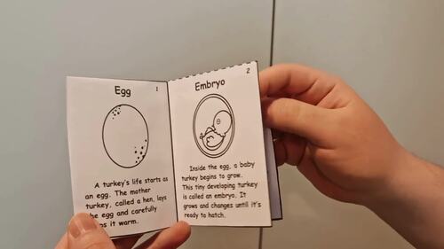 Turkey Life Cycle : Mini-book, Turkey Life Cycle, Parts of a Turkey