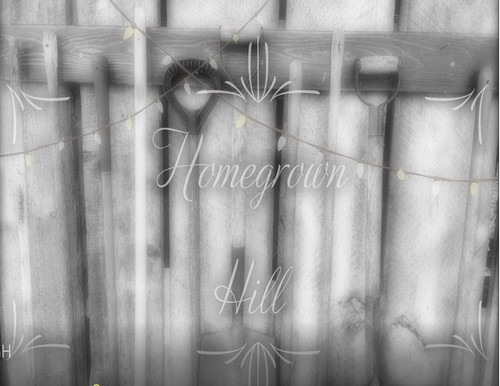 Distance Learning with Google Slides for Pre-K, K, and 1st Grade Word ...