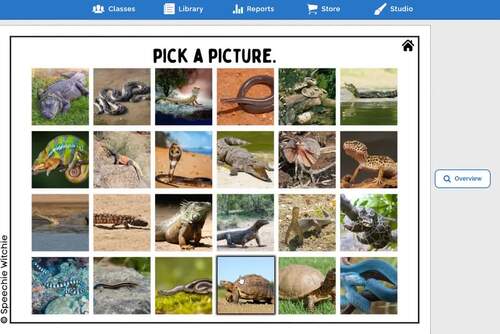 Animals Reading Comprehension Short Passages WH Questions Speech ...