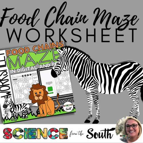 Food Chains Maze Worksheet Printable and Digital Assessment Activity