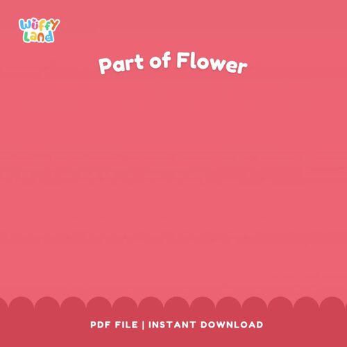 Parts of a Flower Worksheet - Labeling & Cut and Paste Activity - Plant ...