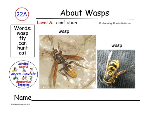 Video : About Wasps #22A by ALBERTO GUTIERREZ | TPT