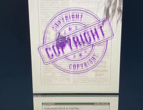 Bioluminescence: Science of Living Light, Thematic unit, life science ...