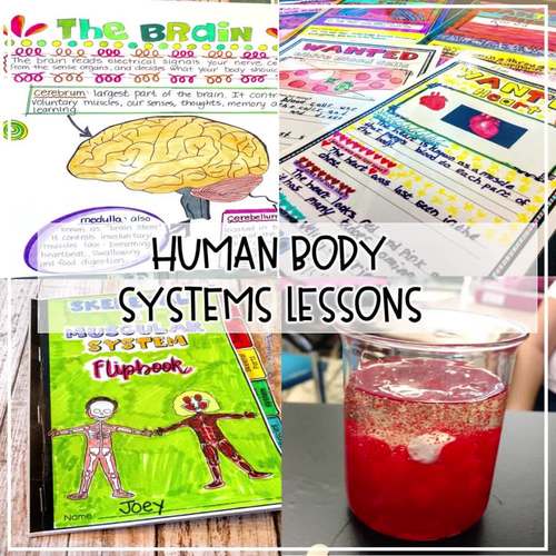 human-body-systems-unit-by-teaching-muse-tpt