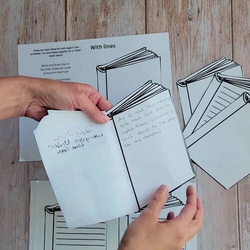 Mini book review by Shantels homeschool | TPT