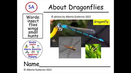 About Dragonflies #5A by ALBERTO GUTIERREZ | TPT