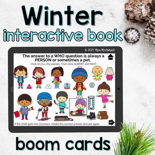 Winter Adapted Book Boom™ Cards with WH-questions and Other Language Skills