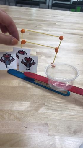 Activity to Support Book The Great Turkey Race | STEM & Stories | TPT