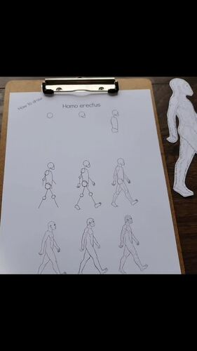 homosapien homo erectus homo habilis coloring pages