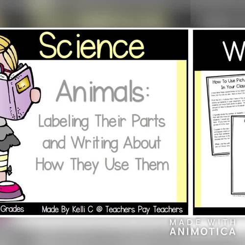 Animal Adaptations and How They Use Their Parts to Survive by Kelli C