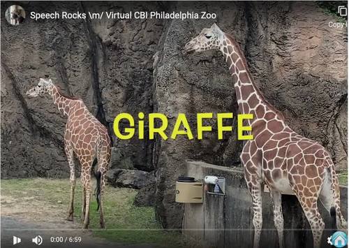 Virtual Field Trip Philadelphia Zoo Boom Cards by Speech Rocks | TPT