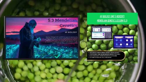 AP Biology UNIT 5 Heredity 5.3 Mendelian Genetics Lesson Study Learning ...