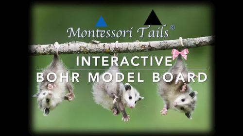 Interactive Bohr Model Board by Montessori Tails | TPT