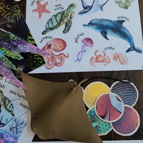 Coral reef ecosystem unit study, Corals and tropical fish three part cards