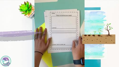 Plant Life Cycle Unit by Kindergarten Cafe | TPT