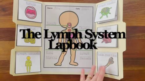 Lymph System Lapbook Human Body Activities Human Body Systems Anatomy Books
