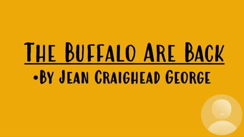 No Prep ELA Lesson plan for Substitutes POWERPOINT & Printables, Ready ...