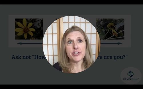 SEL Holiday and Seasonal Picture Emotions and Feelings Check In Tools ...