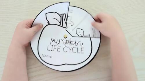 Pumpkin Life Cycle Wheel | Cut and Paste Worksheet | Fall Craft ...