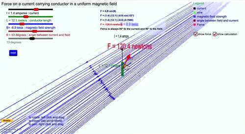3D Magnetic force Simulation by Sensible Science Simulations | TPT