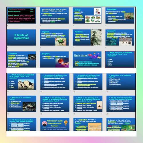 Ecology PowerPoint and Notes Bundle - Levels of Organization Ecosystem