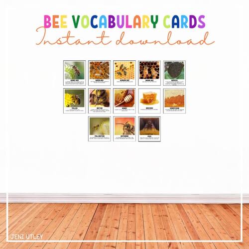 Bee Vocabulary Cards | 13 Insect Word Wall Cards for Preschool and ...