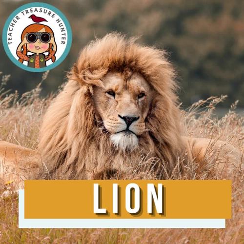 African Lion Africa animal research information article for writing reports