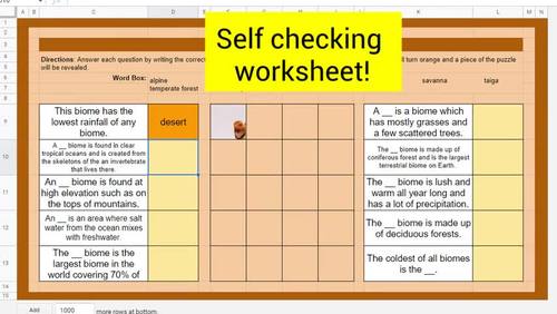 Biomes Winter Picture Reveal Digital Worksheet by JayZee | TPT