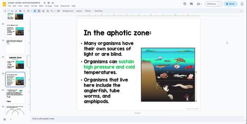 Ocean Zones and Ecosystems Interactive Lesson | TPT