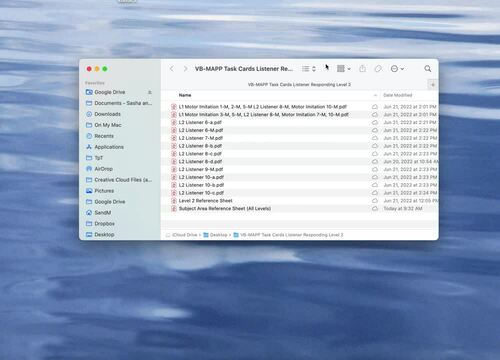 VB-MAPP Task Cards: Listener Responding Level 2 by The Autism Helper