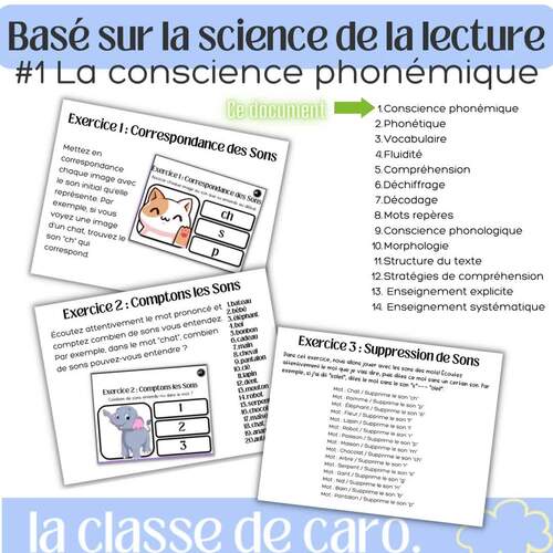 #1 La conscience phonémique - Science de la lecture (French Science of ...