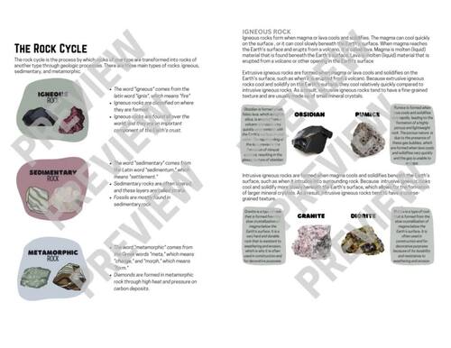 The Rock Cycle - Informational Text (Questions & Key) | TPT