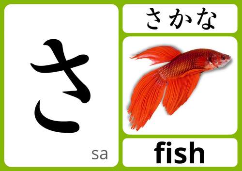 Japanese Hiragana Alphabet Real Photos - Flashcards, Word Walls ...