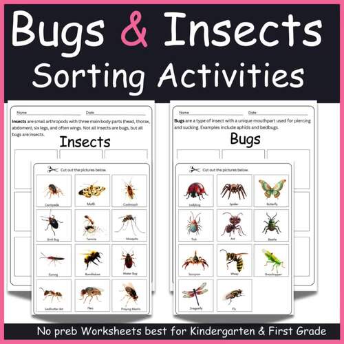 Bugs and Insects Sort Activity| Cut and Paste Back To School Sorting ...