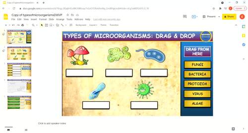 Types Of Microorganisms: Drag & Drop Worksheet: Google Slides ...