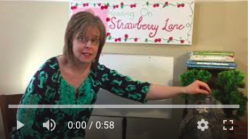 VIDEO: Reading: Set 1. Lesson 4. Word Family Pattern -ag | TpT