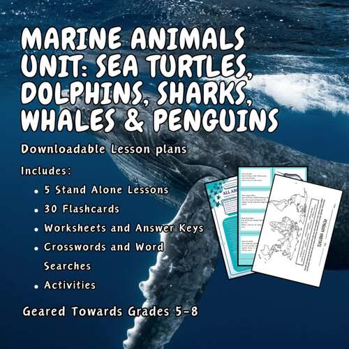 Marine Animals Unit: Sea Turtles, Dolphins, Sharks, Whales & Penguins (5–8)