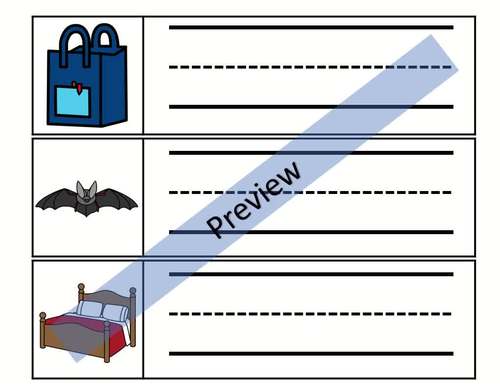 CVC Write The Words- Phonics- Reading- SPED & Autism Resources | TPT