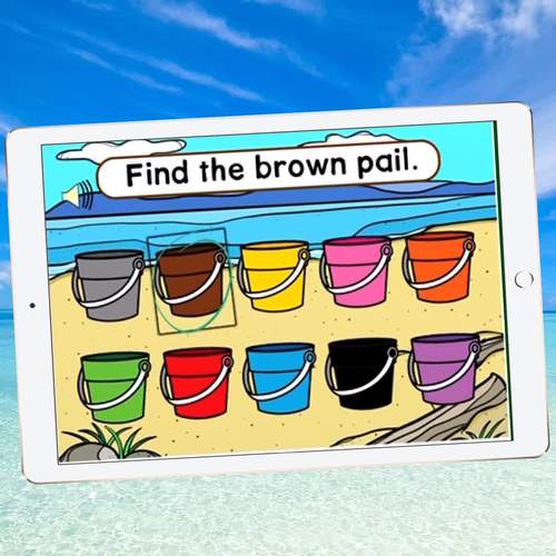 Find the BROWN Color Recognition | BOOM CARDS with audio | Beach