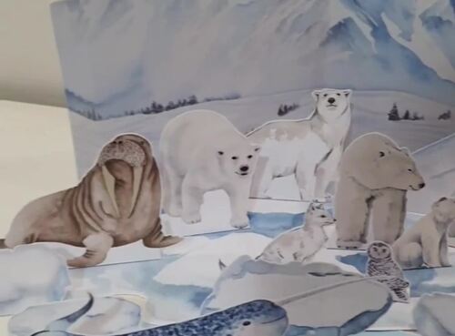 Build the Arctic Habitat, Paper Diorama, Science Project, Classroom Decor
