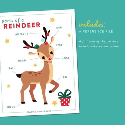 Parts of a Reindeer Printable, Christmas Anatomy Worksheet for Kids ...