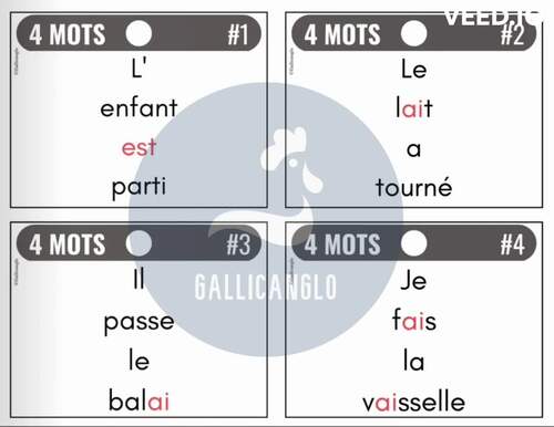 FRENCH Lecture et fluence Reading fluency practice VOL10 digraphes AI ...