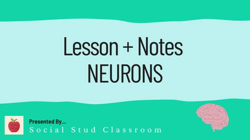 High School Psychology Lesson and Notes: Neurons by Social Stud Classroom
