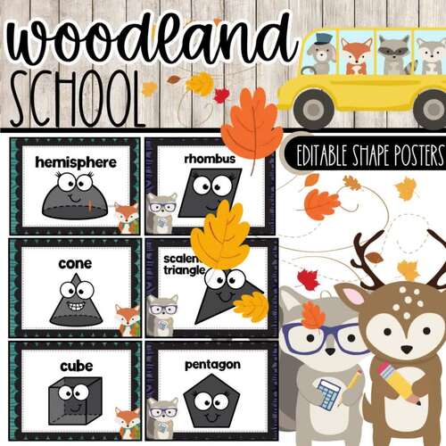 Woodland School 3D and 2D Shape Posters with EDITABLE file included